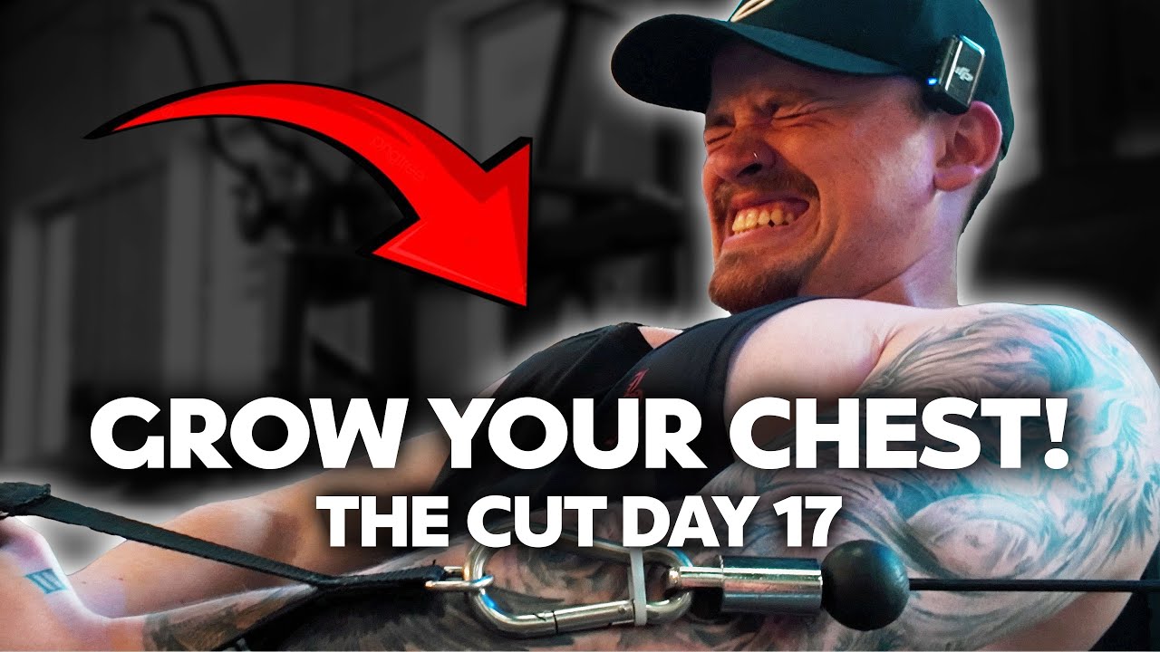 QUICK & EFFICIENT CHEST & TRICEP WORKOUT! - The Cut (Day 17) - YouTube