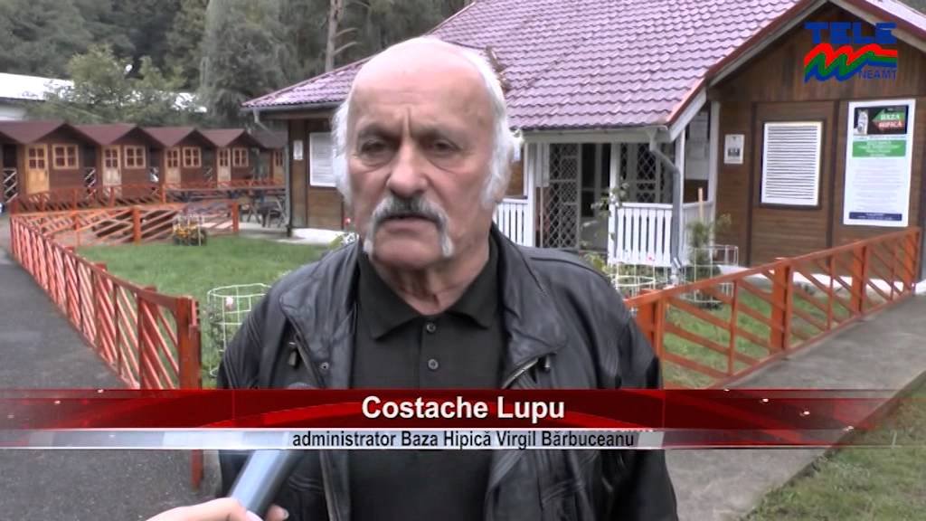 ACUZAT DE DNA LA SIBIU, APRECIAT IN NEAMT STIRILE TELE M NEAMT - YouTube