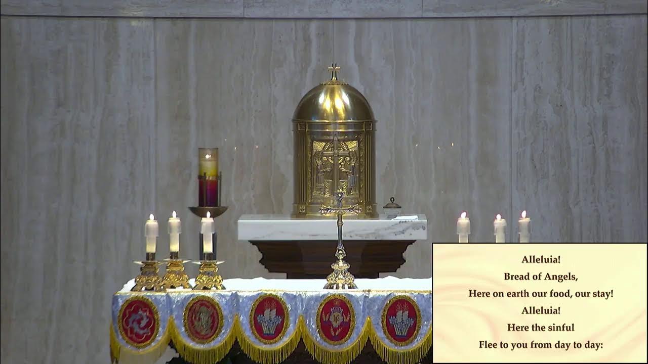 June 2, 2024 11am - Corpus Christi Sunday - Divine Mercy Parish - YouTube