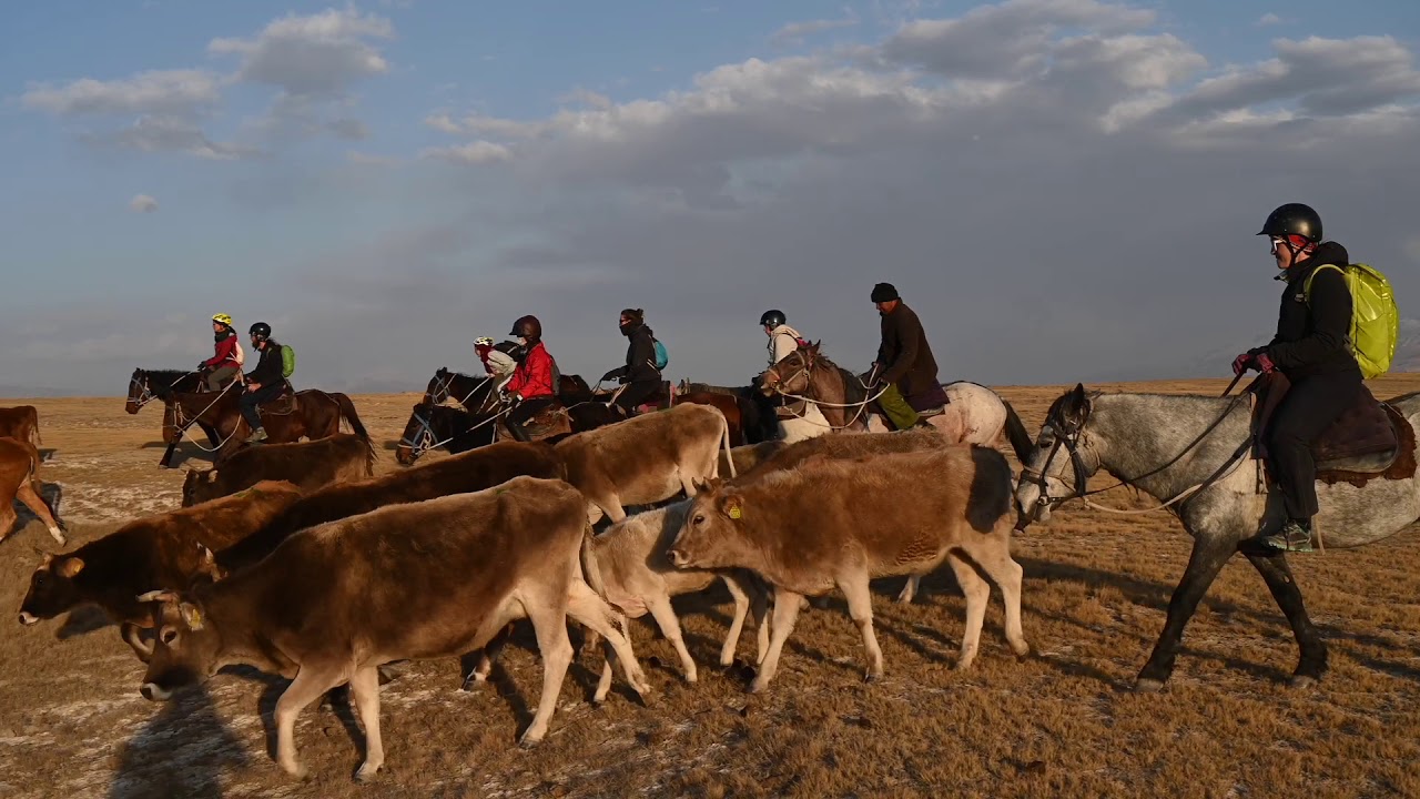 Transhumance HD 1080p - YouTube