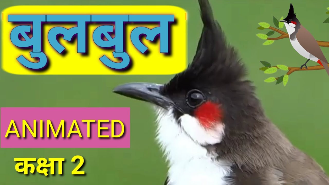 Bulbul || बुलबुल || Class 2 Chapter 9 Hindi || बुलबुल की कहानी कक्षा 2 ...