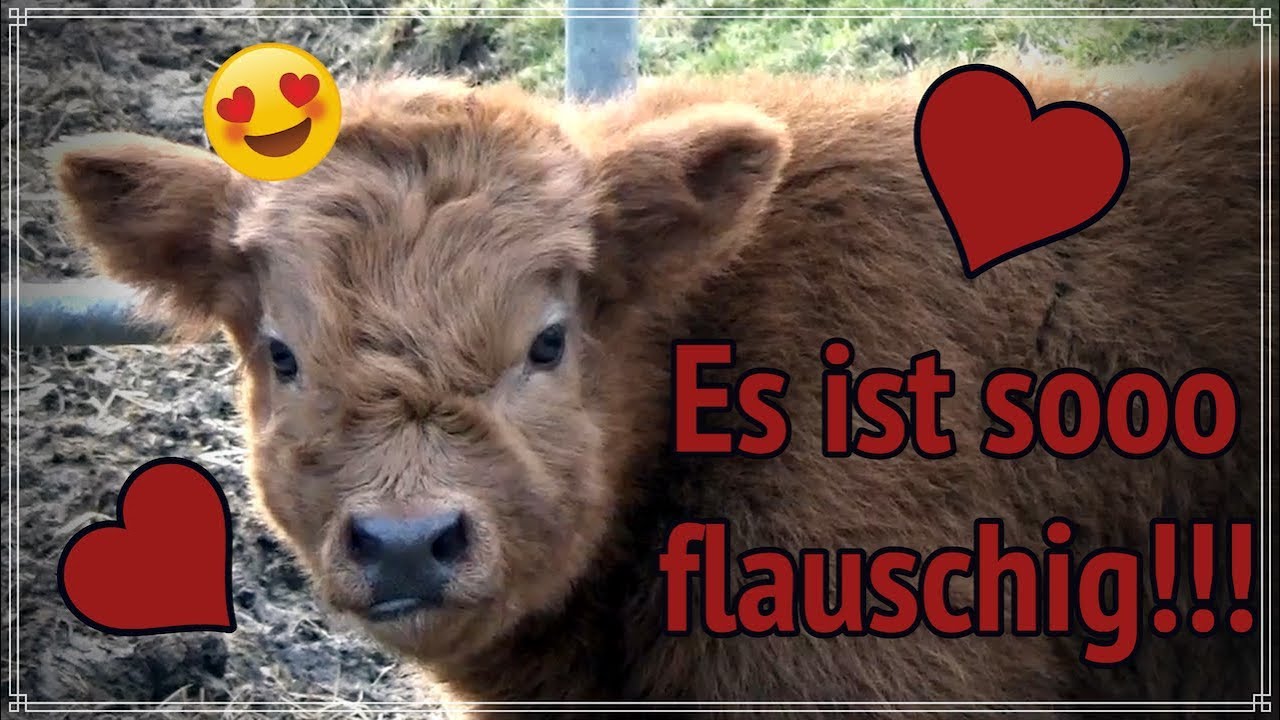 Hast du schon mal etwas sooo flauschiges gesehen? - YouTube