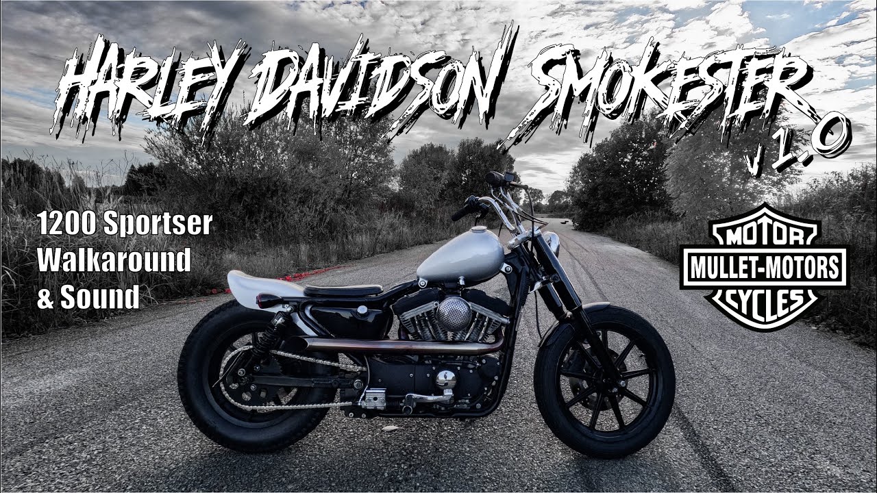 Harley Davidson "Smokester" Build / Walkaround and Sound / 1200 ...