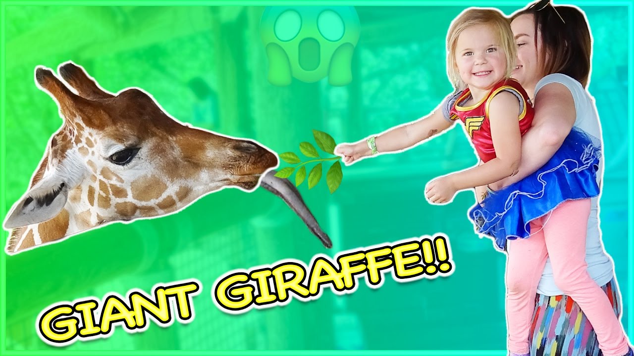 RORY FEEDS GIANT GIRAFFE! WILD ANIMAL LOOSE AT THE ZOO!! - YouTube
