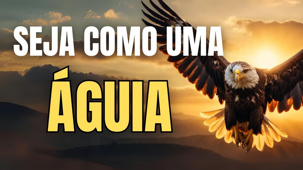 Conheça As 5 Lições Mais Preciosas Que Devemos Aprender Com As Águias ...