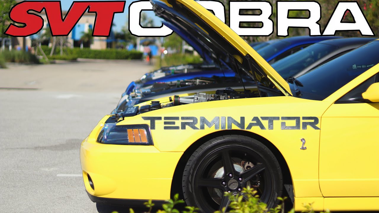 SVT Terminator Cobra Exlusive Meet - YouTube