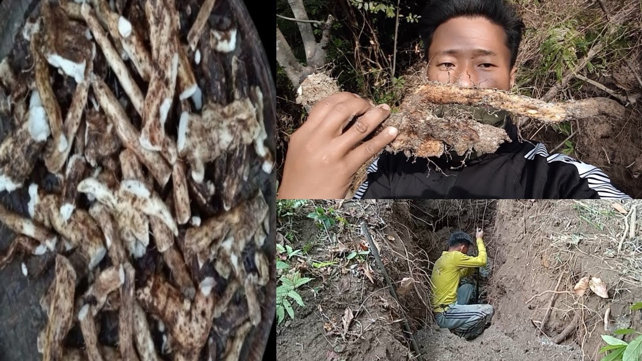TARUL HUNTING IN THE JUNGLE.(बन तरुलको धुलाइ माघेसक्रान्ती बिसेस ...