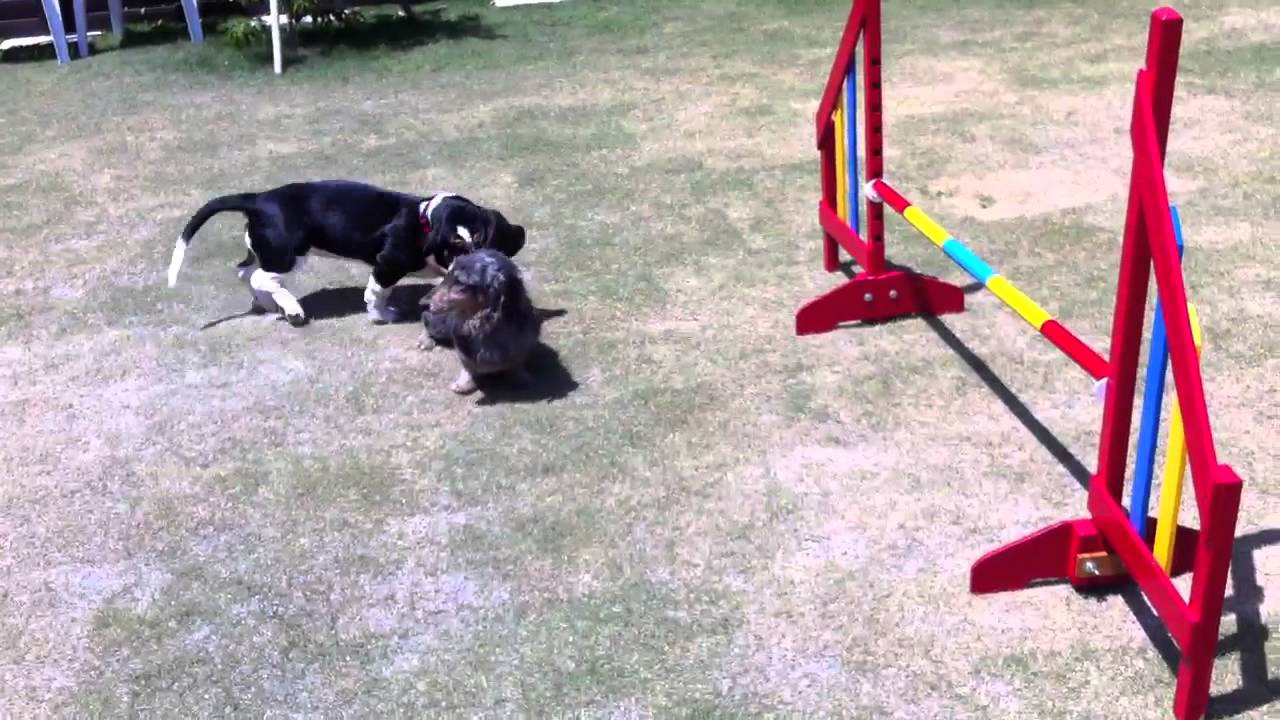 Princess MEG - YouTube