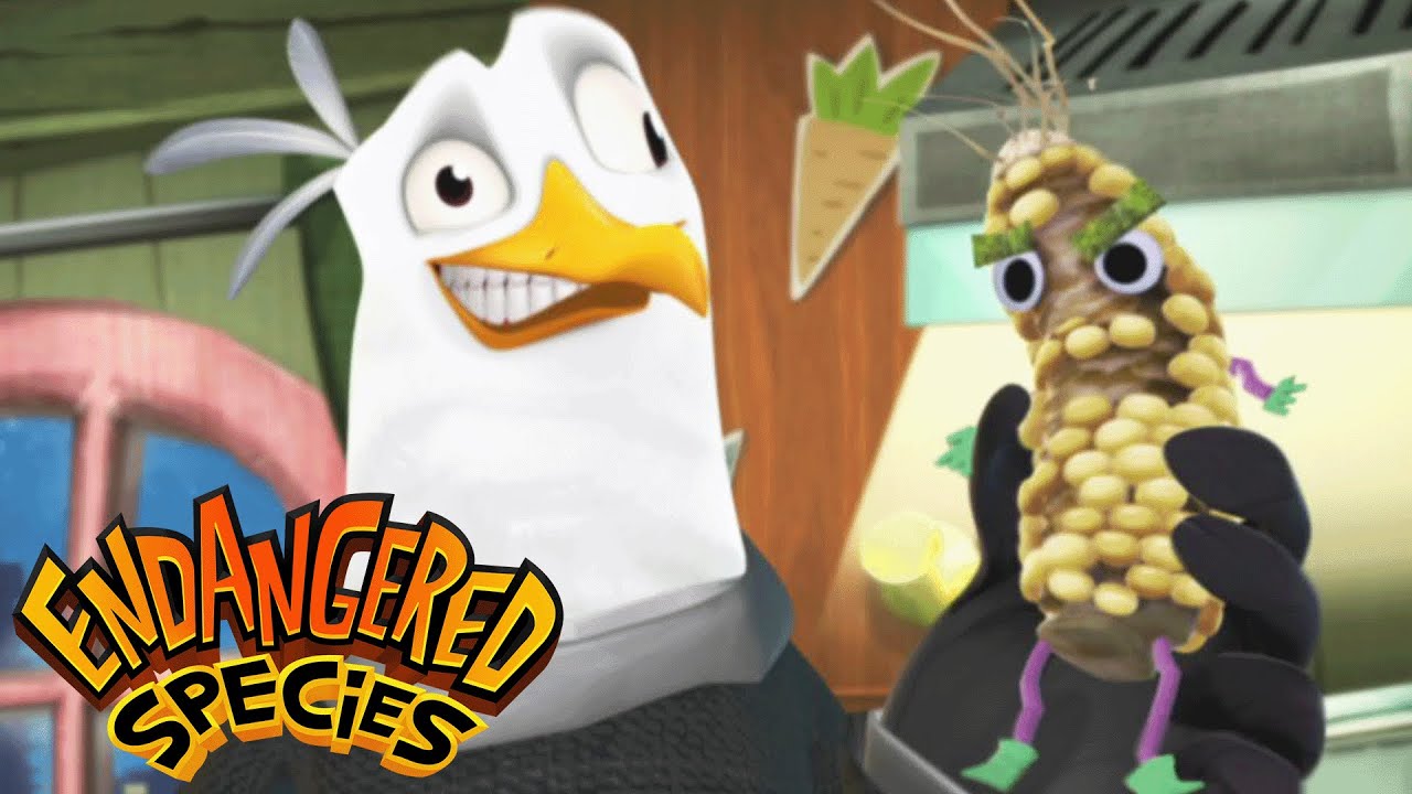 My Best Friend Schlitzy | Endangered Species - WildBrain | Full ...