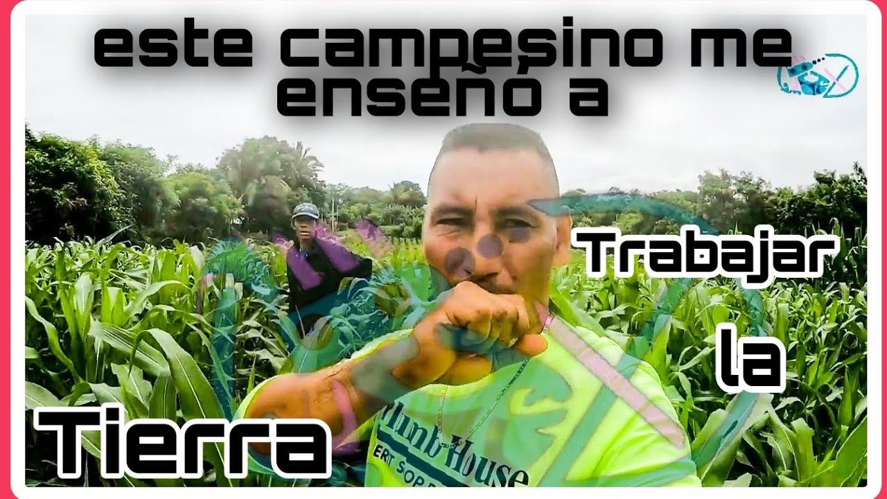 así lleva este hombre el sustento diario asu familia - YouTube