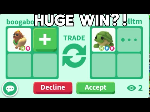 HUGE WIN FOR MY NEON FLY RIDE HOT DOGGO IN ADOPT ME?! - YouTube