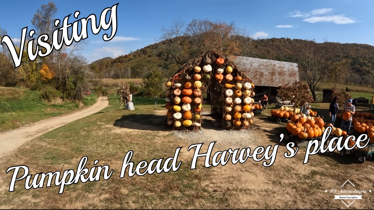 Pumpkin patch with a corn maze - YouTube