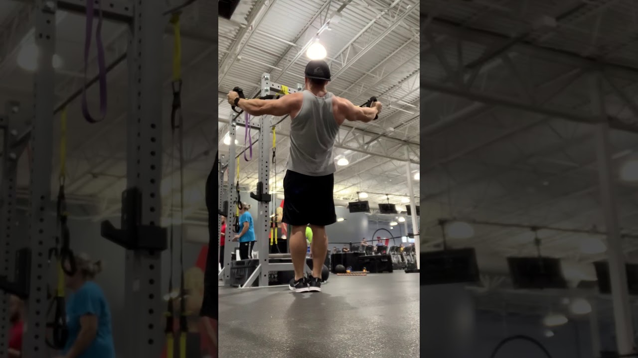 TRX Reverse Flies - YouTube