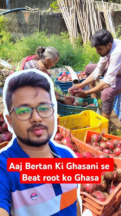 🥕Aaj Bertan Ki Ghasani se Beat root ko Ghasa #shorts #village #dailyminivlog #farming - YouTube