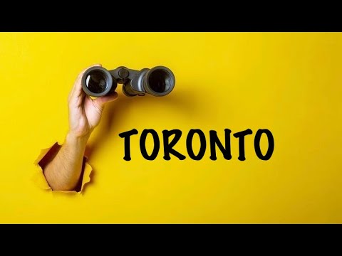 Relaxing Cartoon Drive Through Toronto 🌙 | Calm City Vibes to Unwind ...