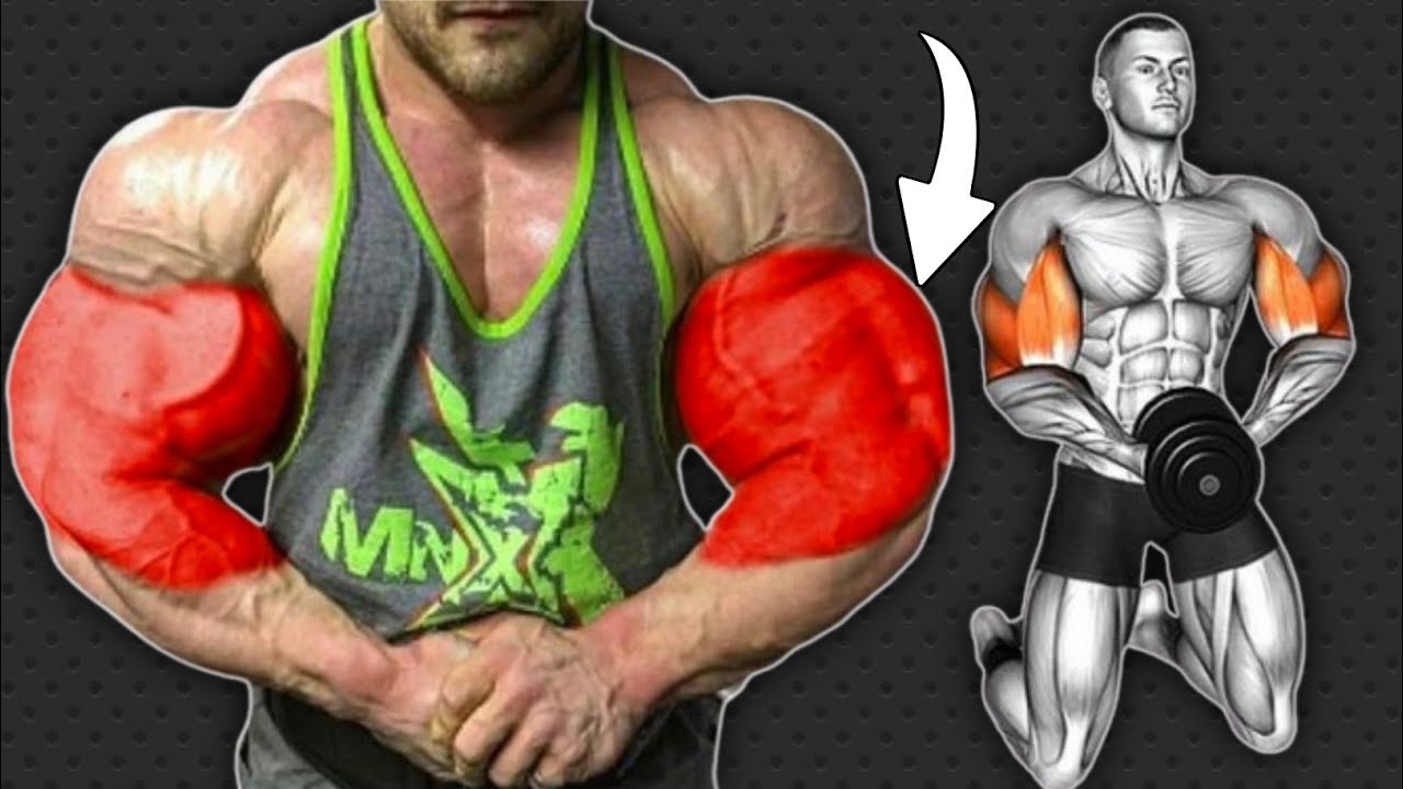 10 Min Exercises To Build Bigger Arms ( Fast Effective ) - YouTube