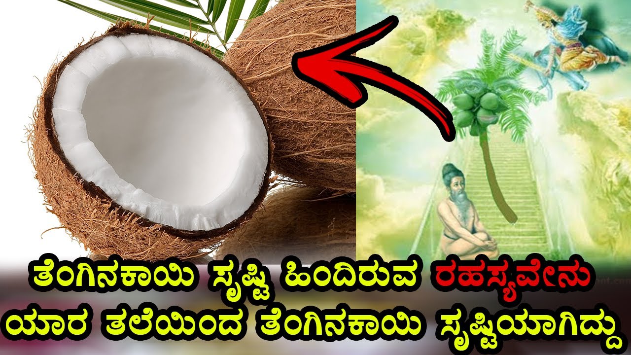 ಯಾರ ತಲೆಯಿಂದ ತೆಂಗಿನಕಾಯಿ ರಚನೆಯಾಗಿದ್ದು Hindu Mythology | How coconut came ...