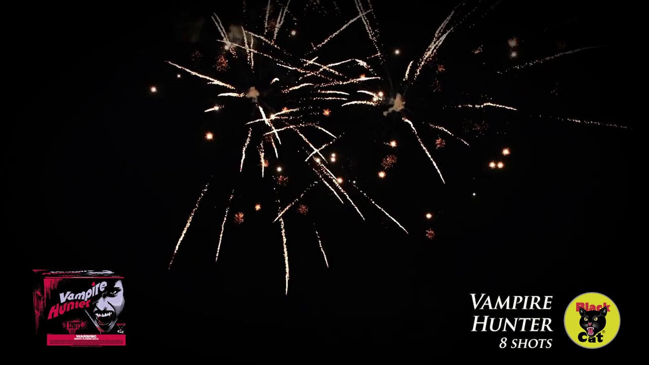 BLACK CAT VAMPIRE HUNTER - YouTube