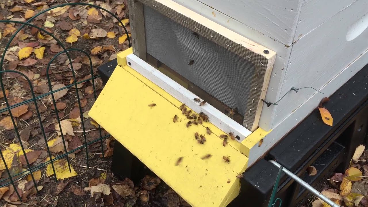 Robbing screens - YouTube