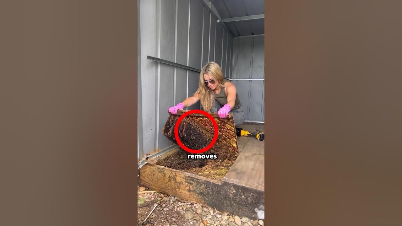 She Has No Fear… (@howsyourdayhoney) - YouTube