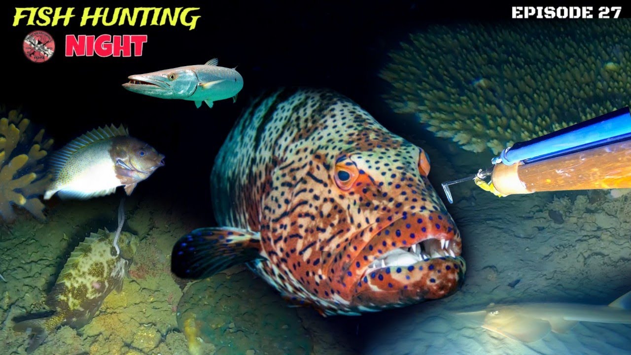 NIGHT SPEARFISHING EPISODE 27 | FISH HUNTING NIGHT - YouTube