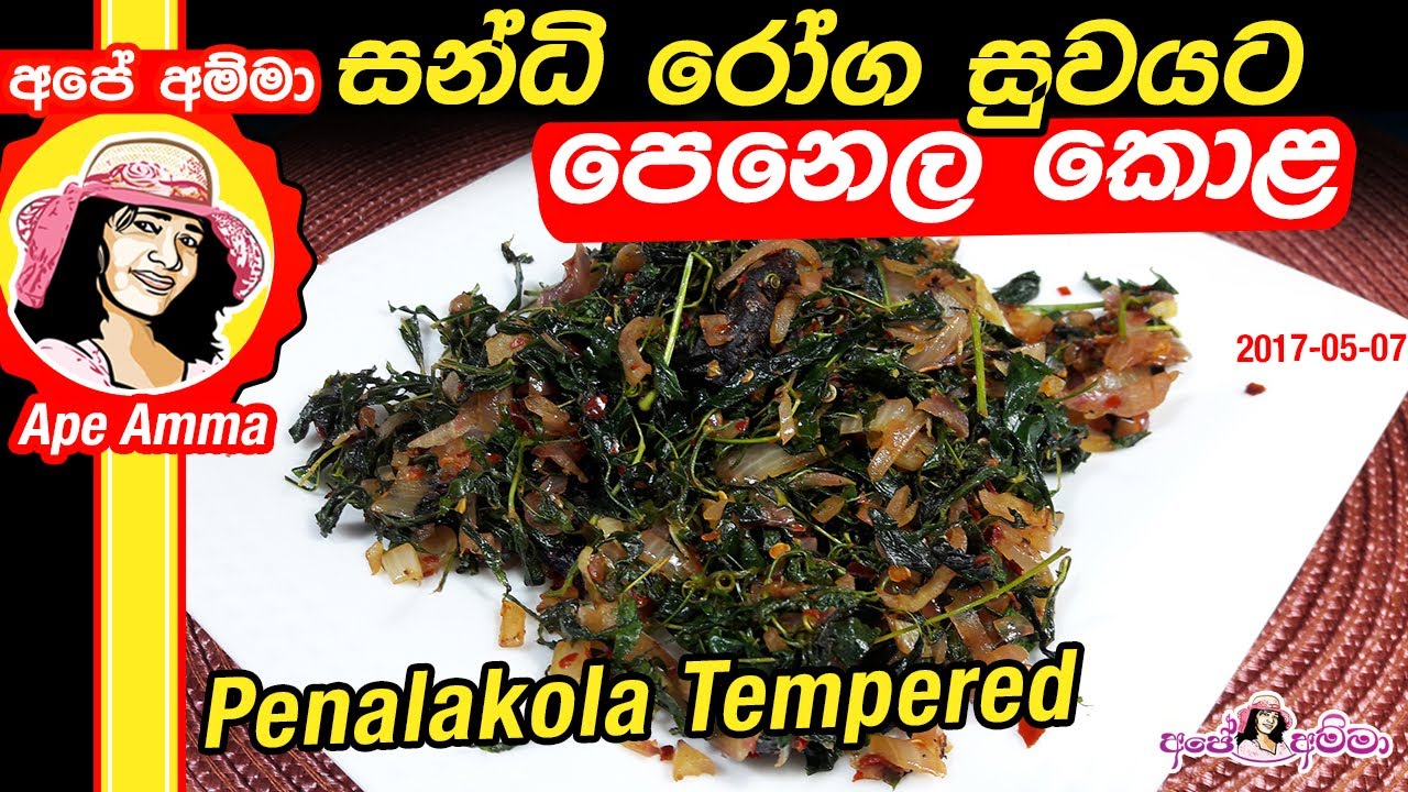 සන්ධි රෝග සුවයට නොමිලේ ලැබෙන එකම කොළ වර්ගය පෙනෙල කොළ . Wal penala Kola ...