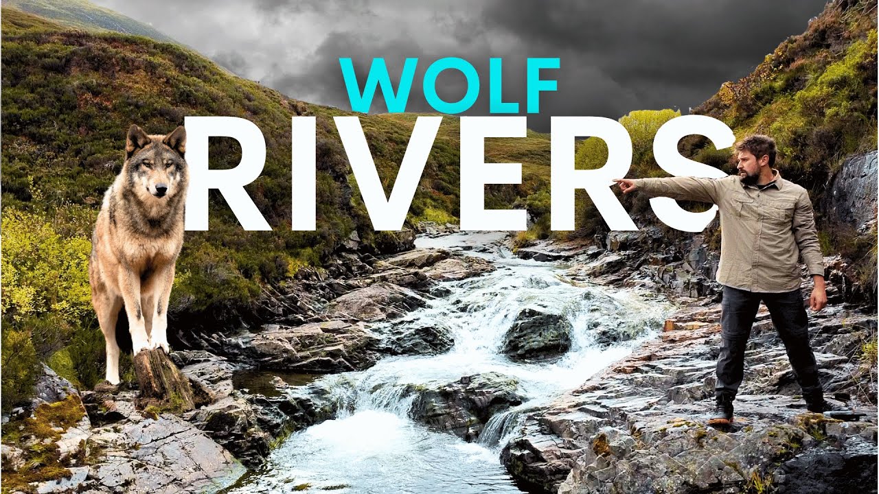 How Wolves Will Restore Britain's Rivers - YouTube