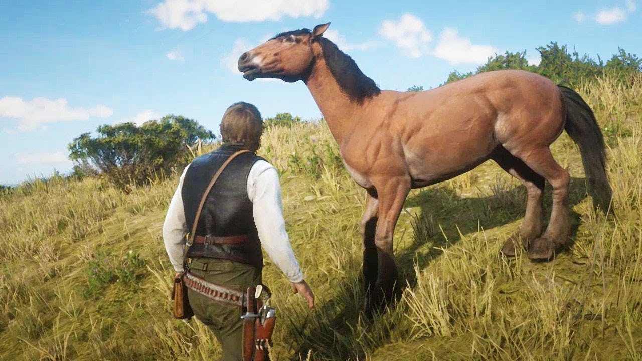 COMO DOMESTICAR CABALLOS | RED DEAD REDEMPTION 2 - YouTube
