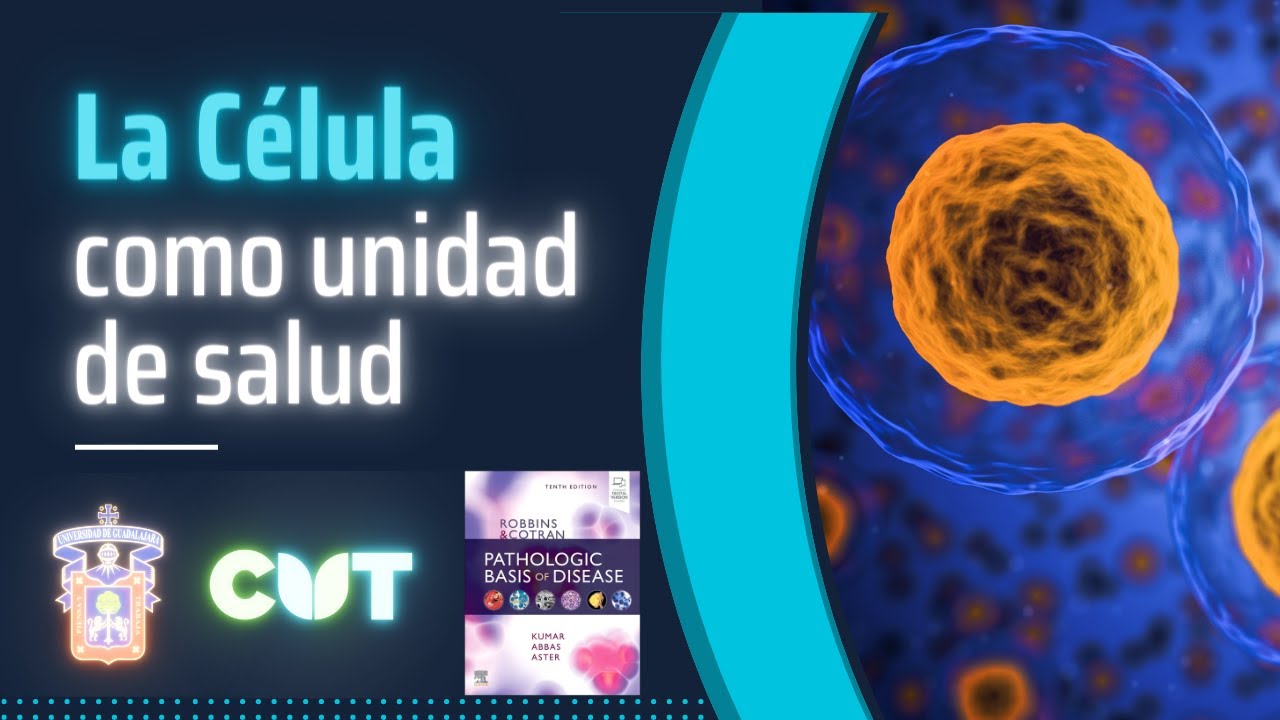La célula como unidad de salud y enfermedad - Curso 2022B - YouTube