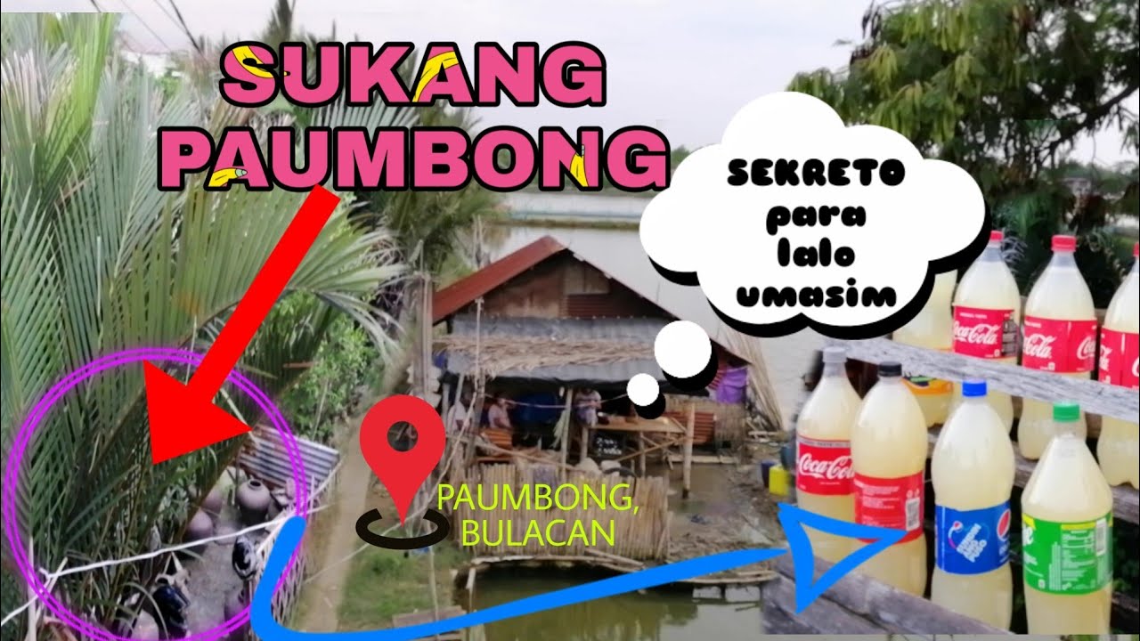 How To Make SUKANG PAUMBONG | PARAAN PARA MAS UMASIM | Sukang PAUMBONG ...