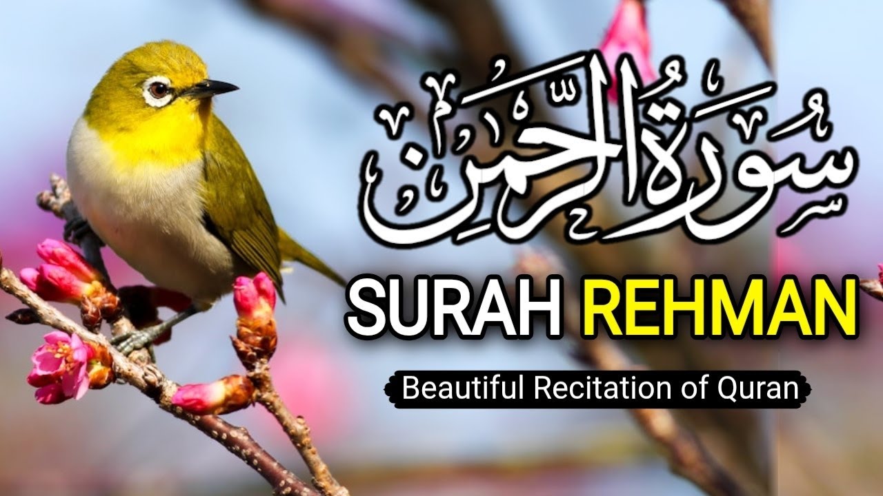 Surah Ar-Rehman Full || Ep - 00280 || Qari Rizwan || سورہ رحمٰن55 ...