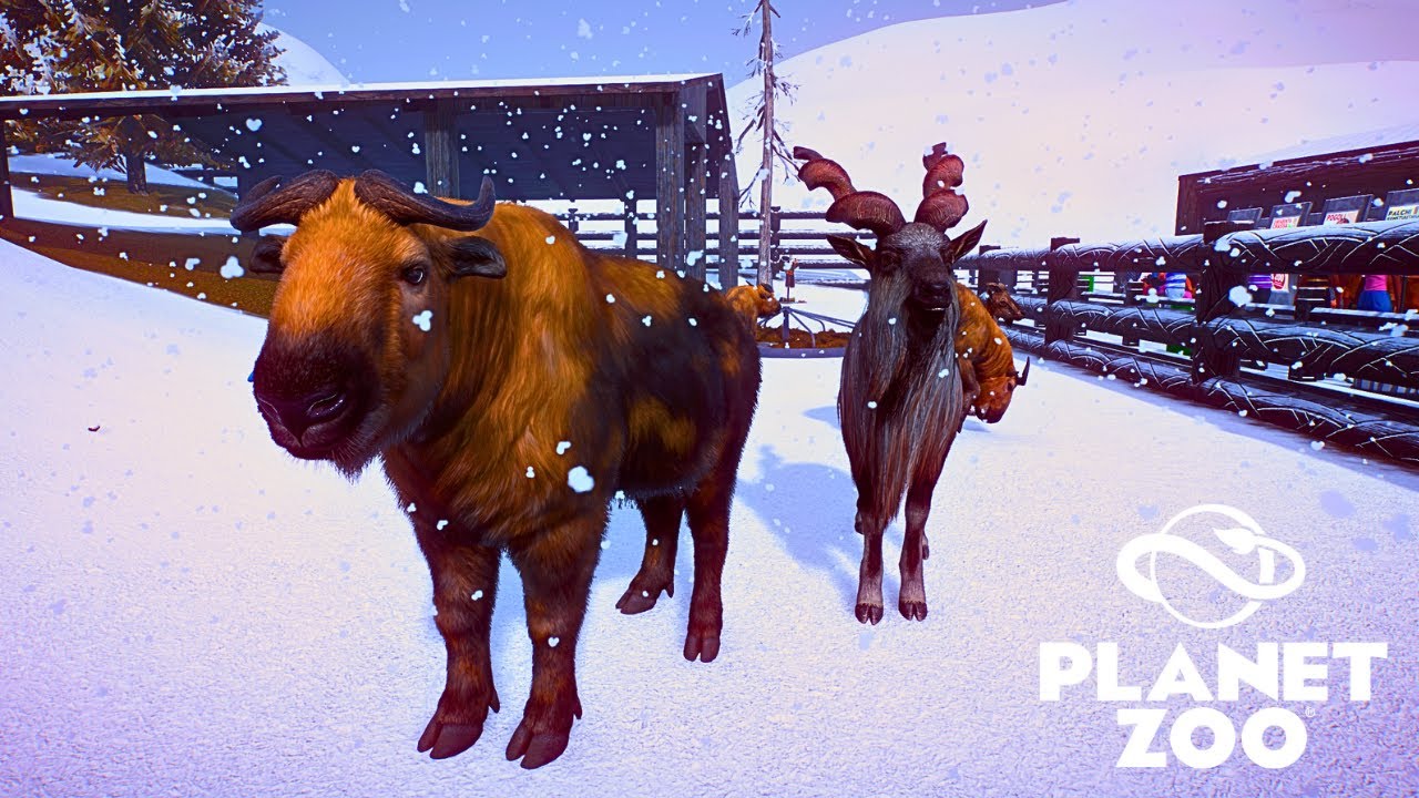 Making a Multispecies Habitat in our Cosy Winter Zoo - YouTube