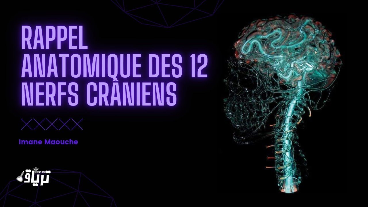 #Sémiologie - Rappel anatomique des 12 nerfs crâniens en 3D!! Par Imane ...