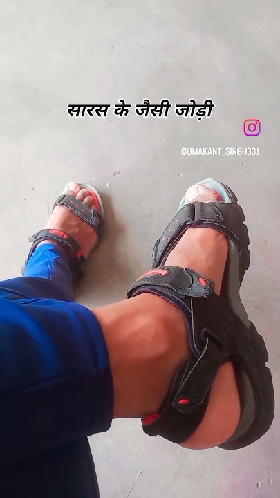 Sars Ki Jodi Youtube