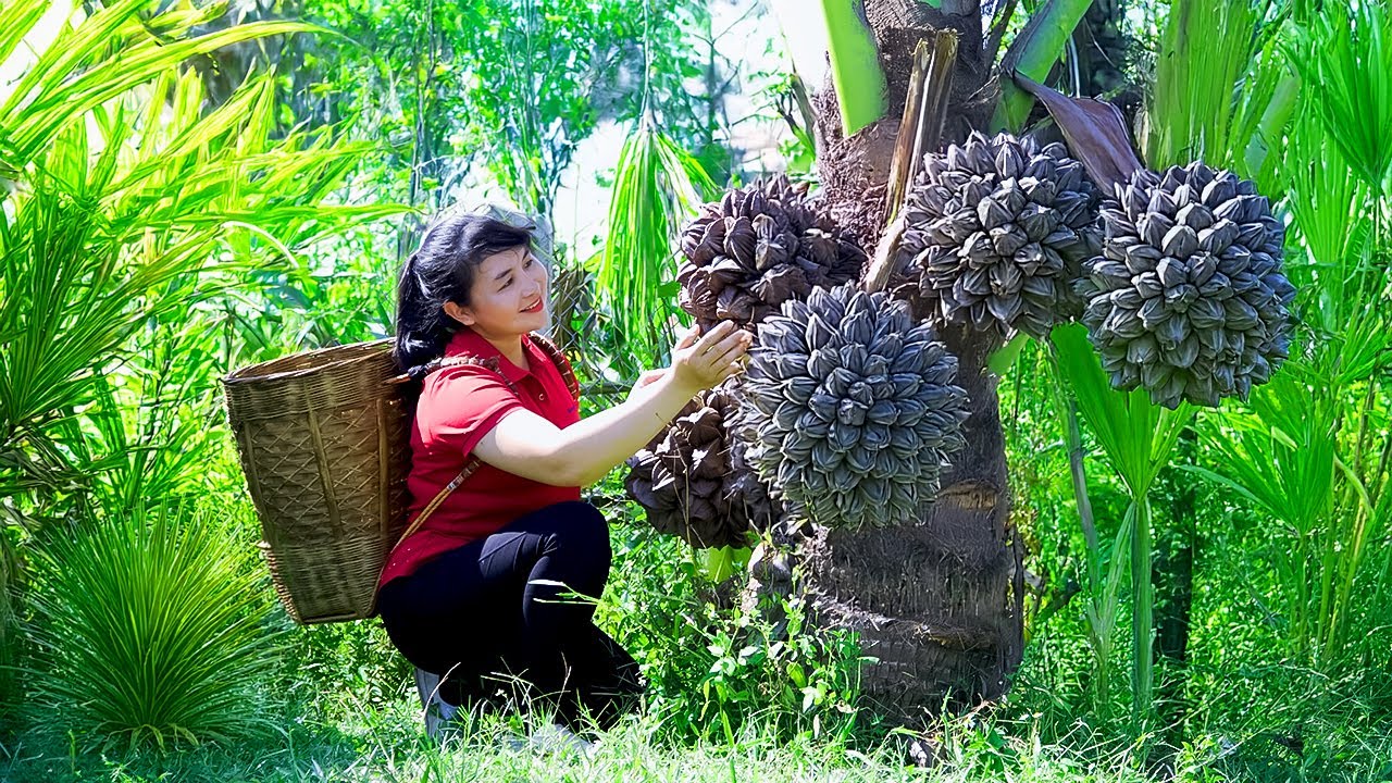 How to Harvest Nipa Palm Tree, goes To Market Sell - Harvesting and ...