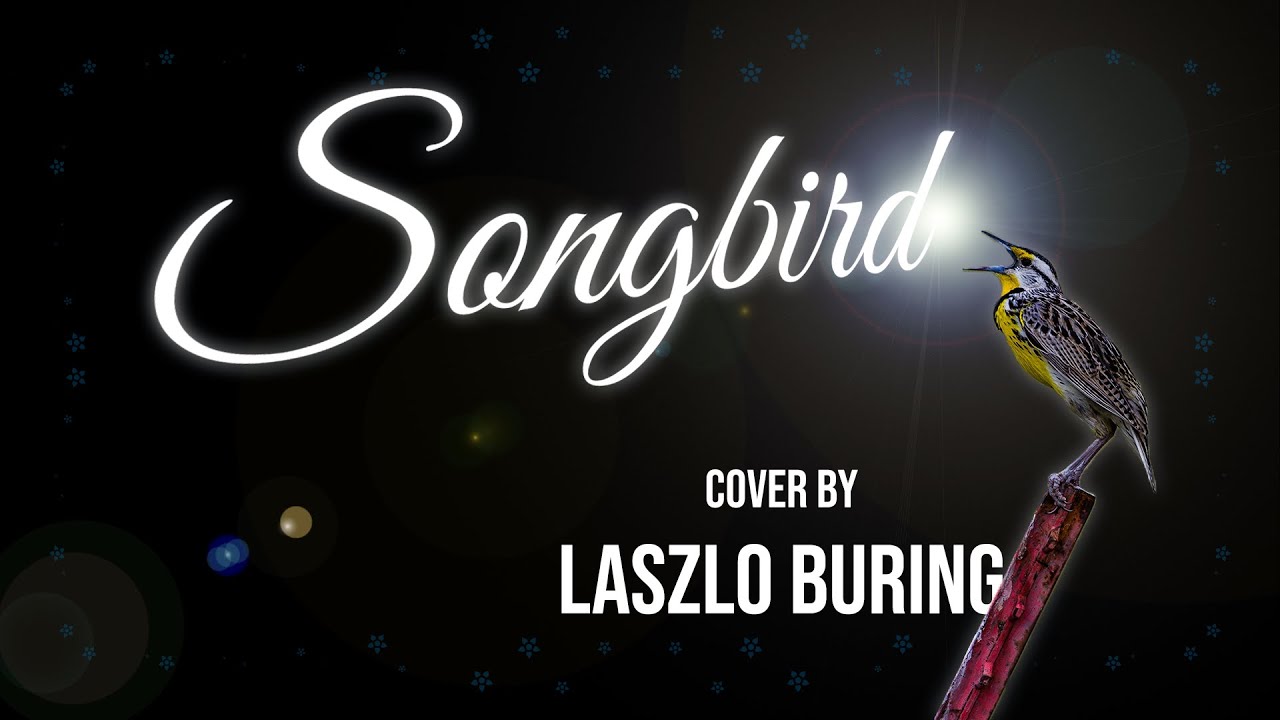 Fleetwood Mac - Songbird (Laszlo Buring cover) - YouTube