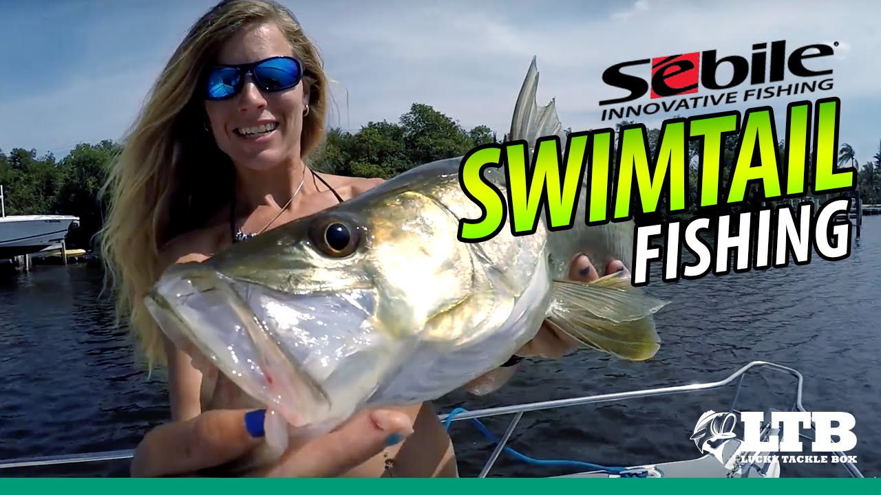 How to Fish the Sebile Crankbait: Lucky Tackle Box Tips - YouTube