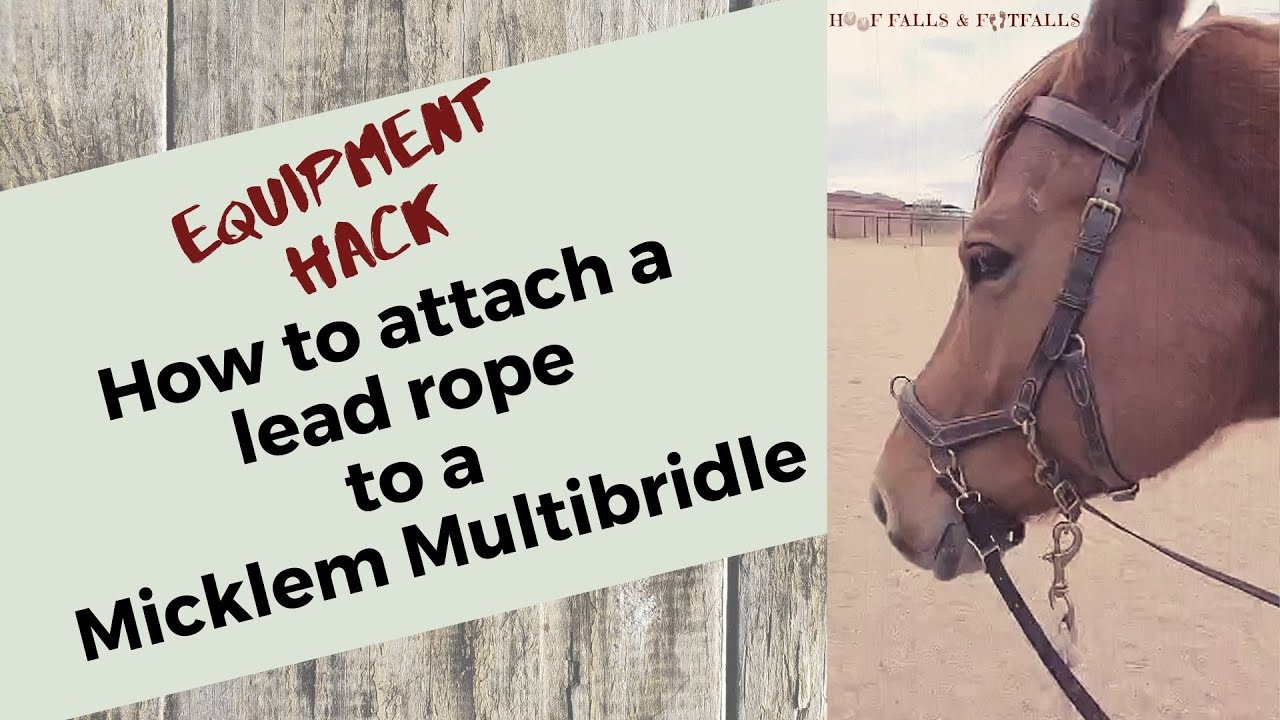 Attaching Lead Rope to Micklem Multibridle during Adaptive/Therapeutic ...