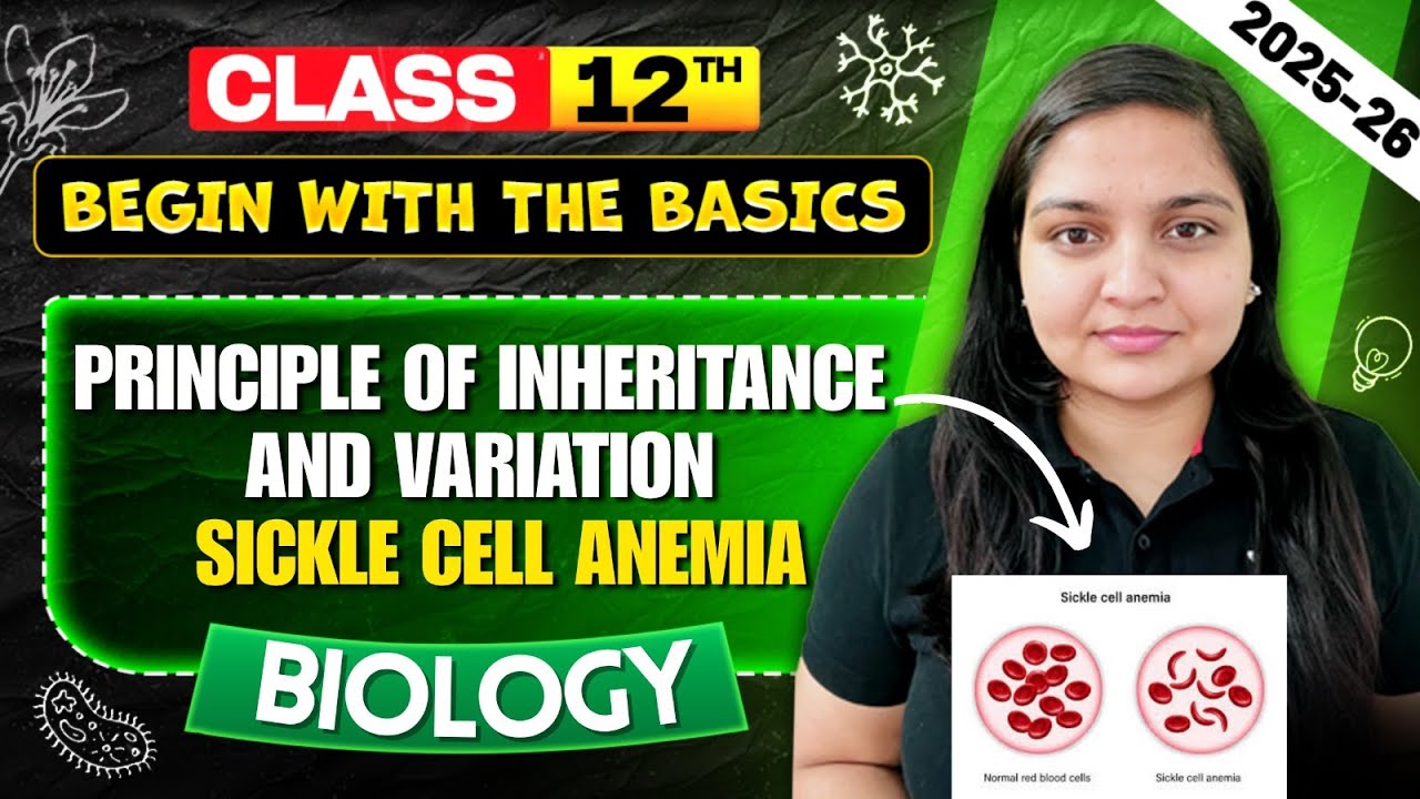 CBSE Class 12 Biology: Principles of Inheritance & Variation - Sickle ...
