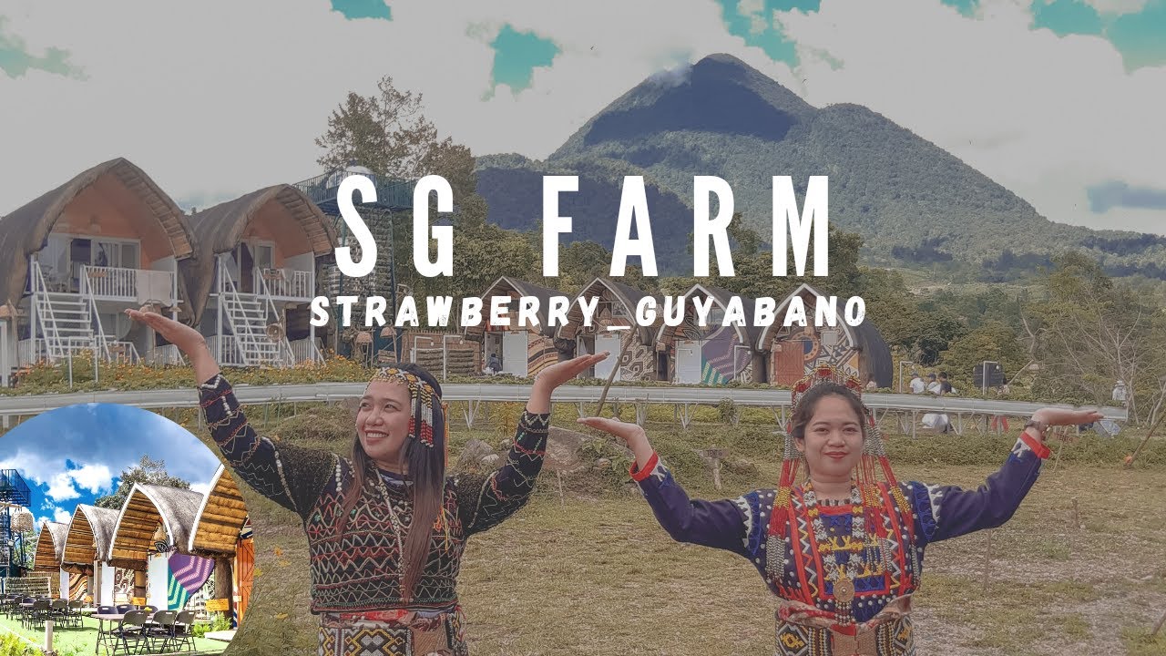 SG FARM | Strawberry_Guyabano Farm | Tupi South Cotabato - YouTube