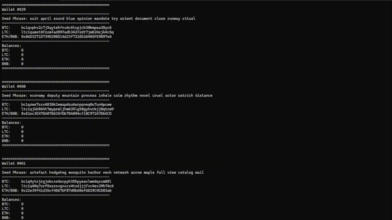 Crypto Wallet Hunter - Seed Phrase Finder for BTC, LTC, BNB, ETH ...