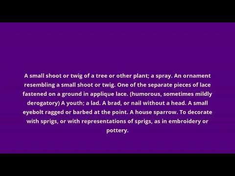 what is the meaning of sprig - YouTube