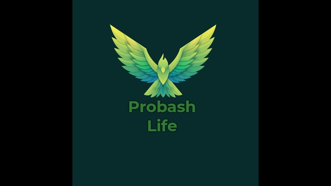 Probash Life Intro Video - YouTube