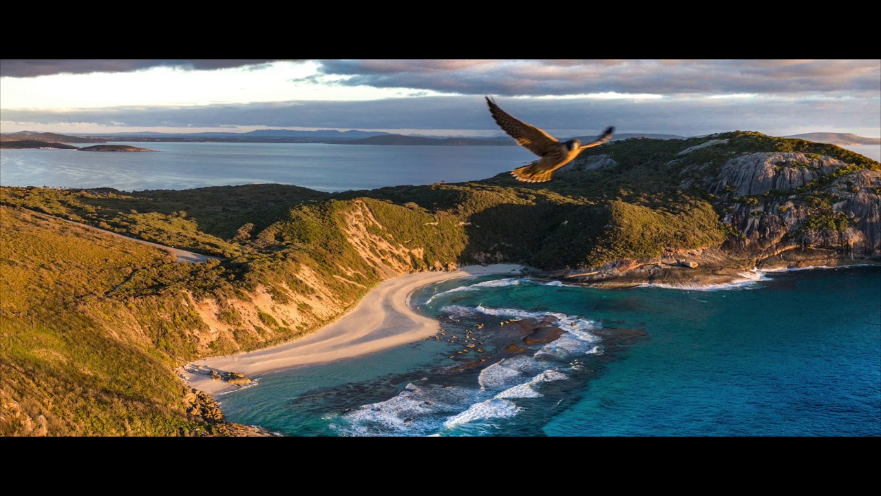 Vicious Falcon Attacks Mavic Drone!! - YouTube