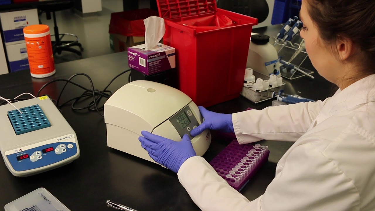 BioPet Labs-Watkins - YouTube