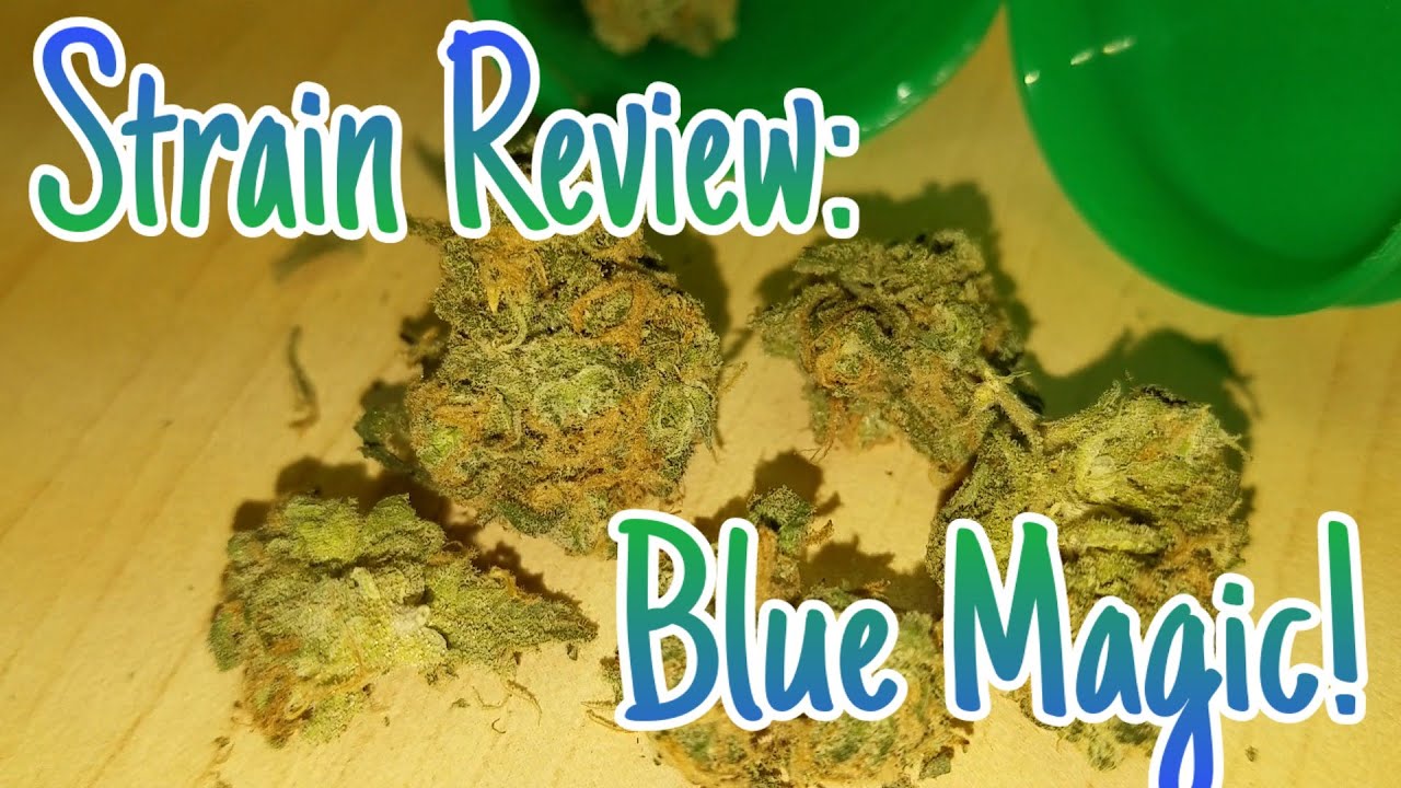 Strain Review: Blue Magic! - YouTube
