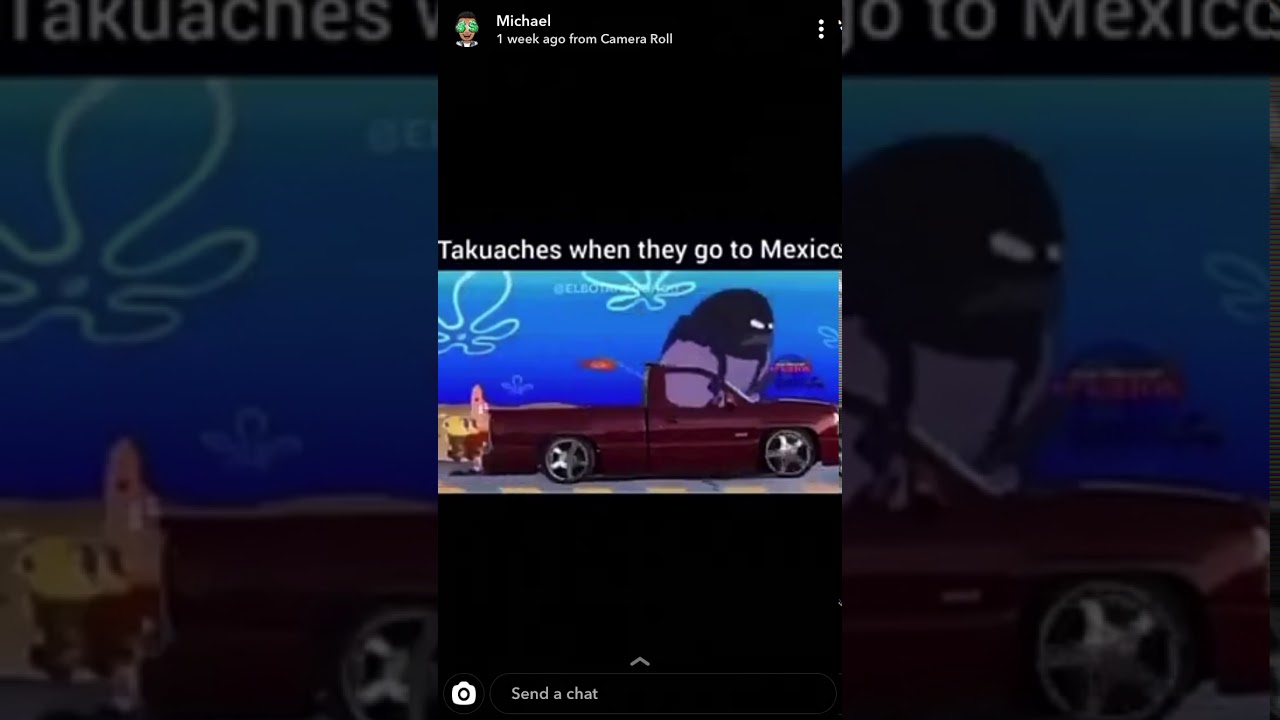 tacuache meme - YouTube