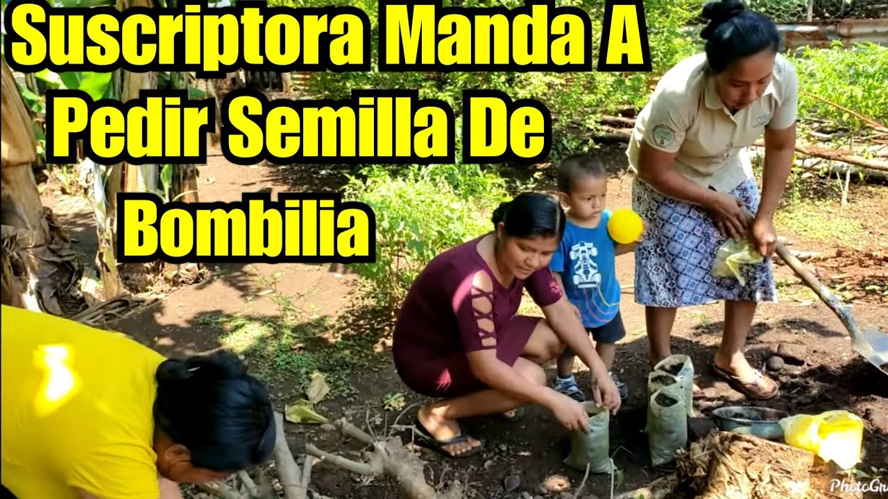 #Botas #el #Chapin Lindas Flores Sembraremos En Casa De Suscriptora ...