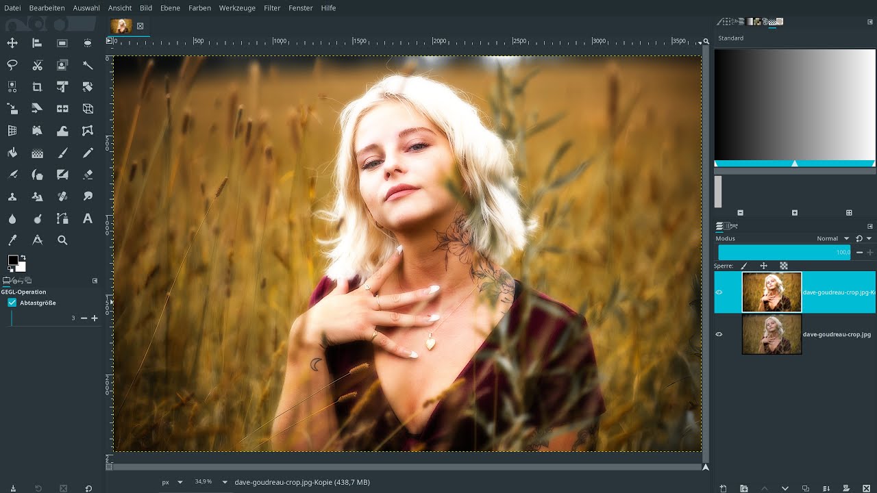Gimp 3.0 Lernvideo: Soft Dreamy Effect! - YouTube