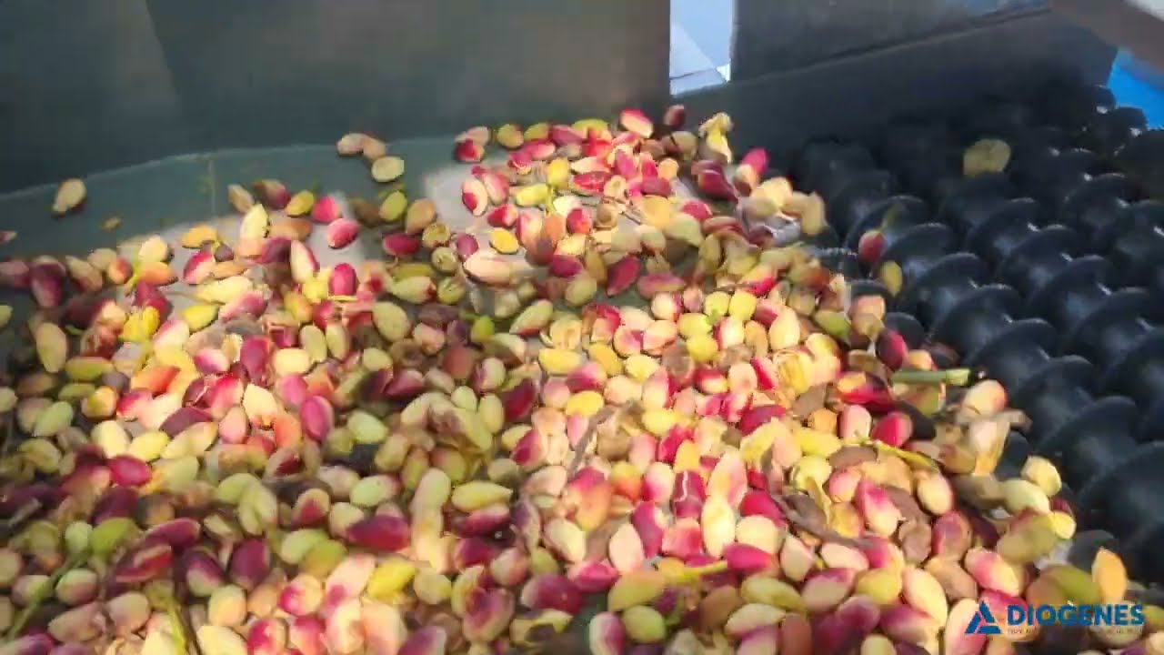 Γραμμή Αποφλοίωσης Κελυφωτού Φιστικιού - Pistachio Processing Line ...